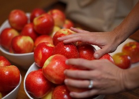 Fans Share Ideas and Recipes for Enjoying SweeTango - SweeTango