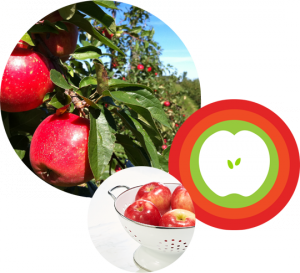 Finding SweeTango | SweeTango